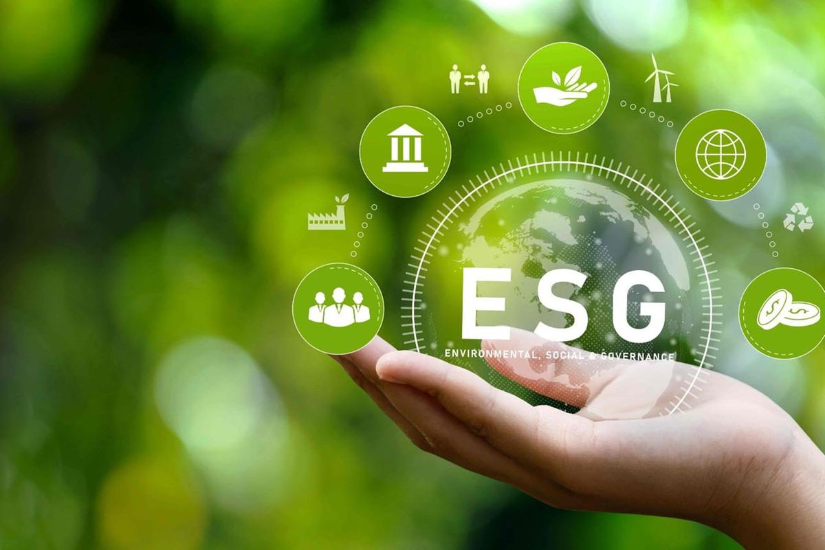 ESG - The CEO’s code to unlock the door to corporate resilience? | The ...