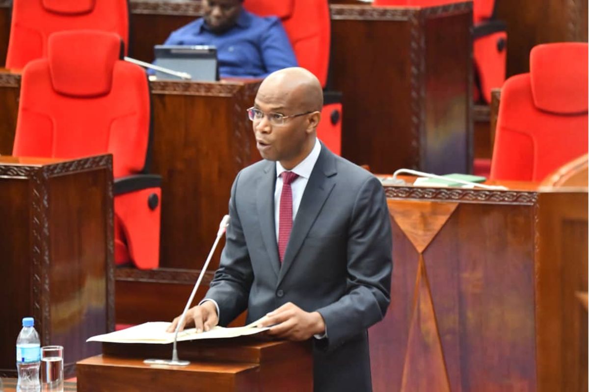 LNG legislation underway, says Makamba | The Citizen