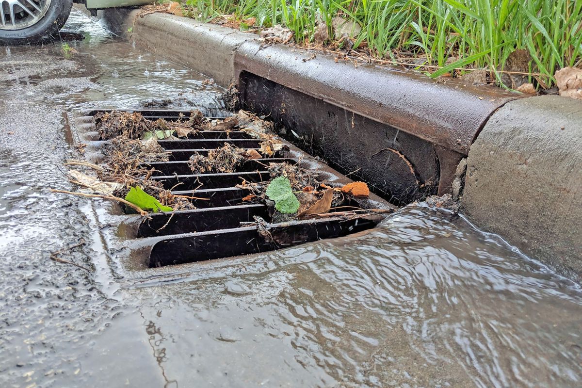 Collective responsibility for urban rivers, drains, and water | The Citizen