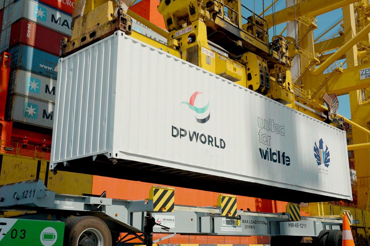 DP World chronicle lays bare Tanzania’s new reality | The Citizen