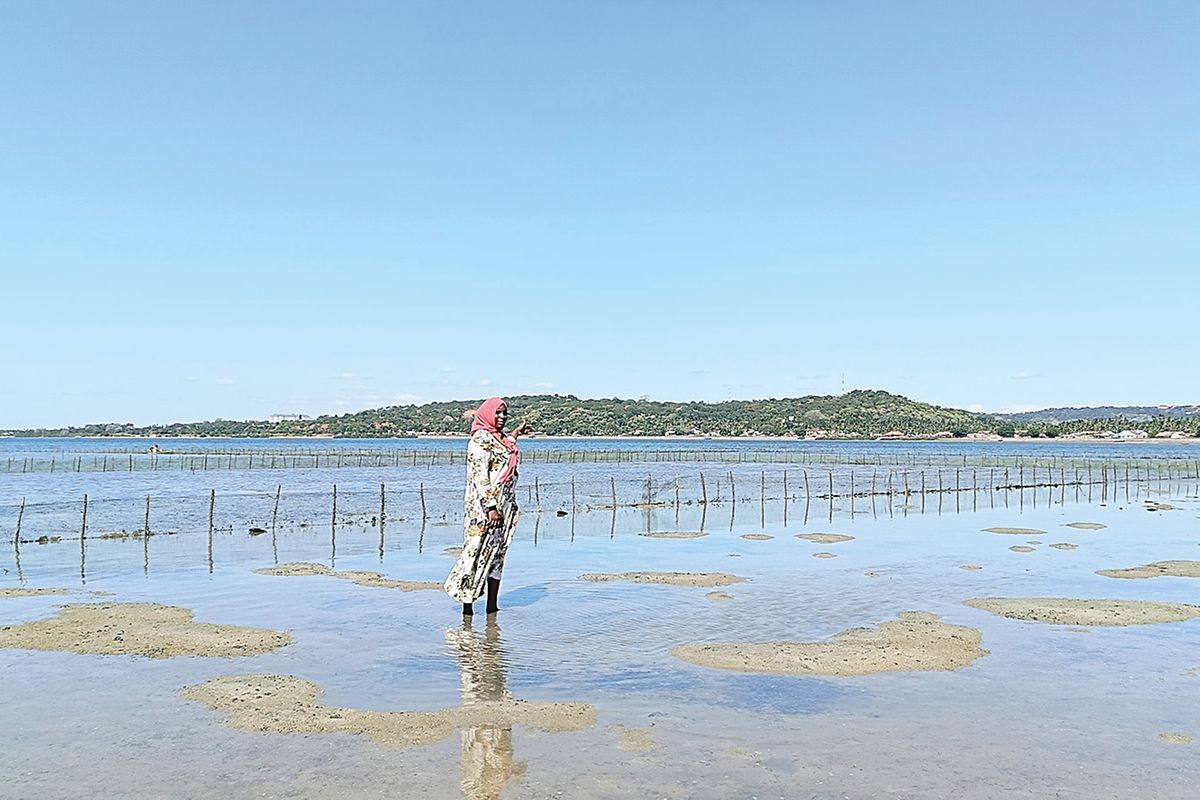 ‘How sea cucumber farming is changing our lives’ | The Citizen