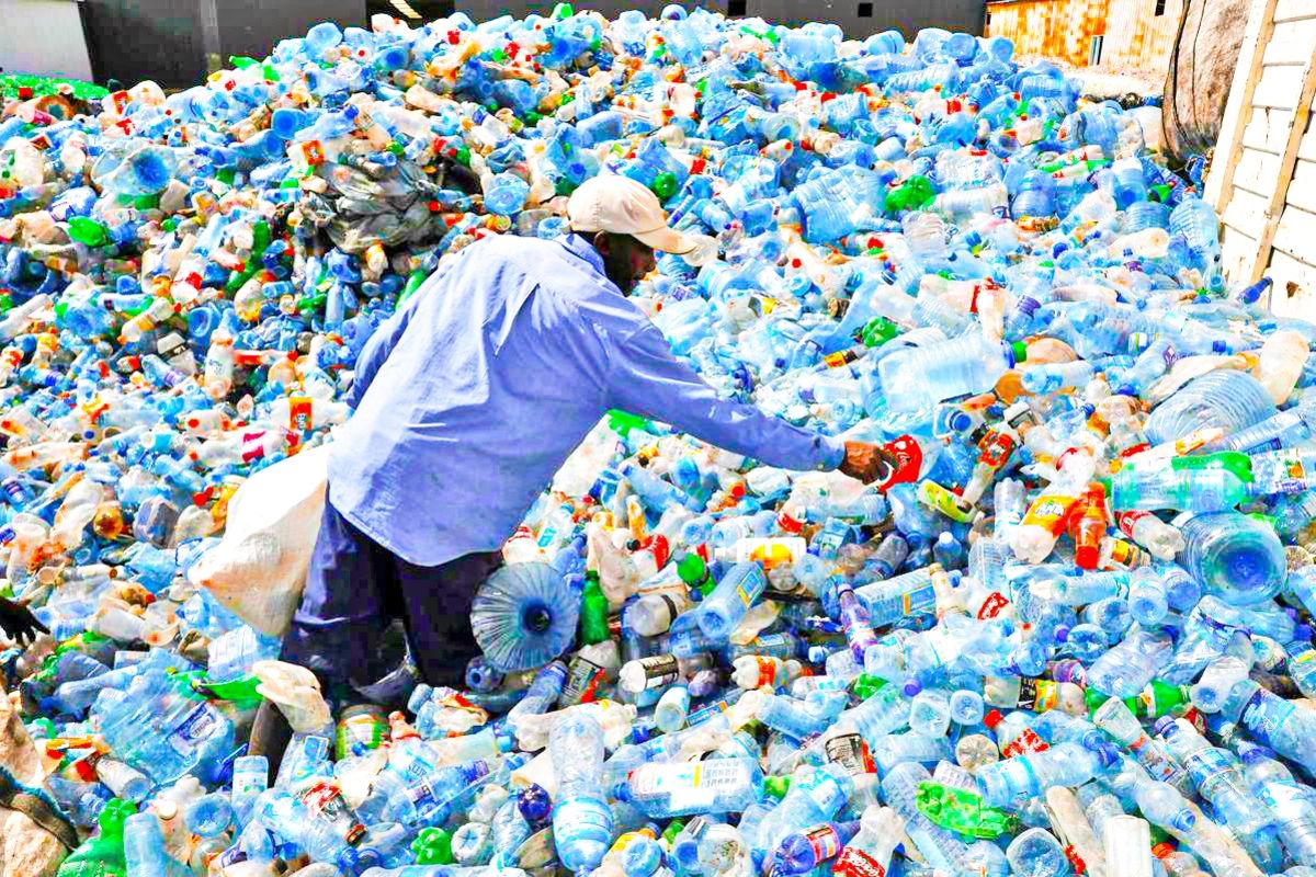 Challenges and opportunities facing local waste collectors | The Citizen