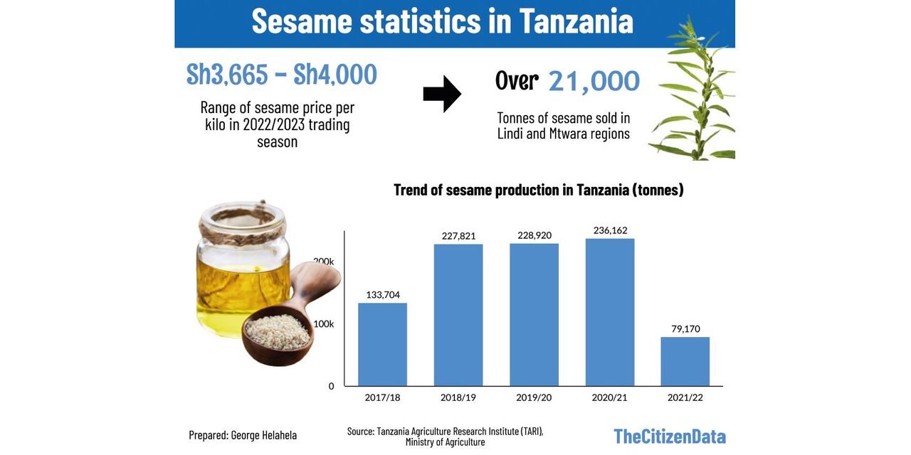 Why sesame is increasingly becoming a lucrative business in Tanzania ...