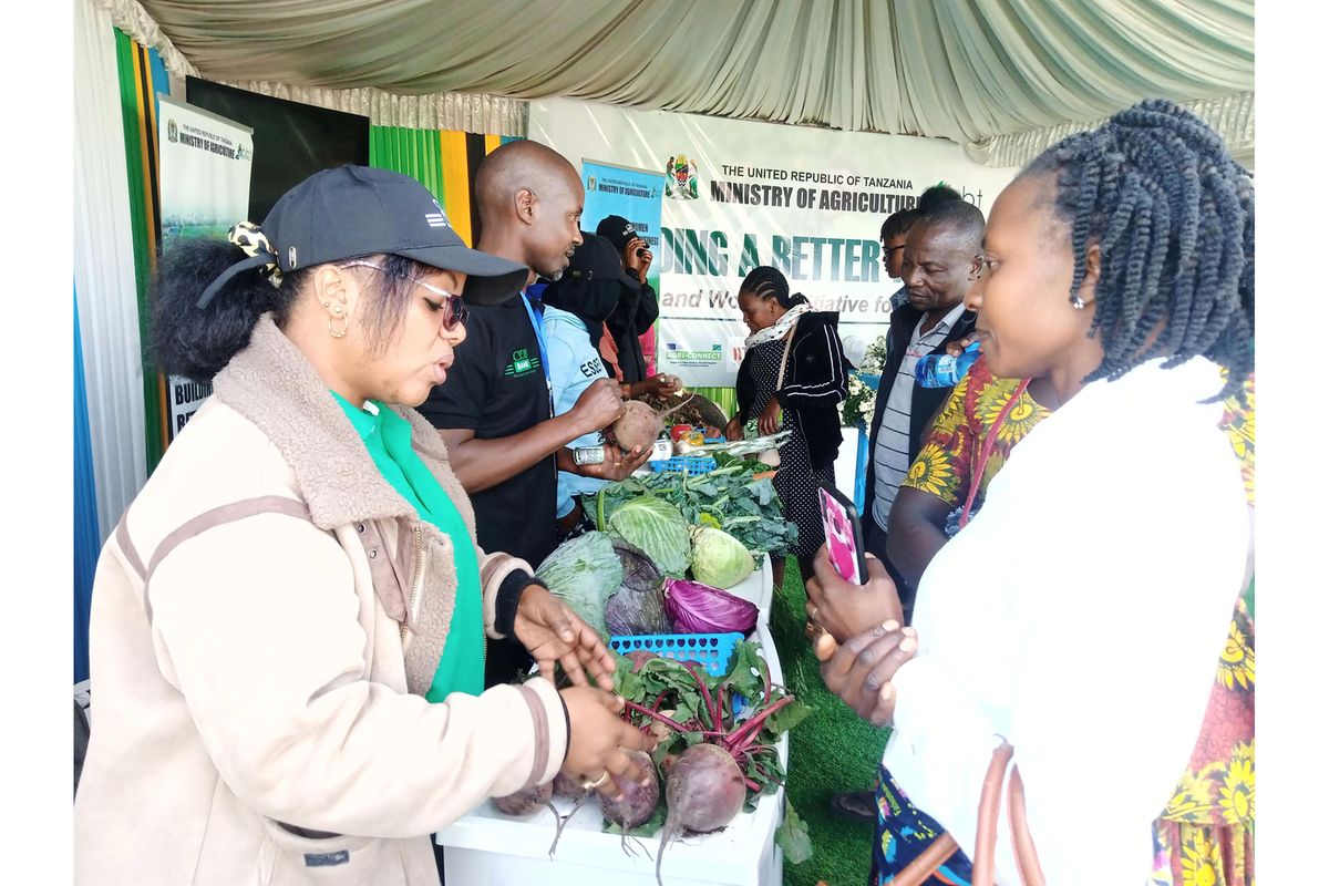 Nane Nane 2023: New start for youth and women in agriculture – Green ...