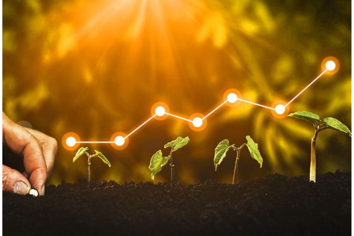 Sustainable procurement: Way of building economy | The Citizen