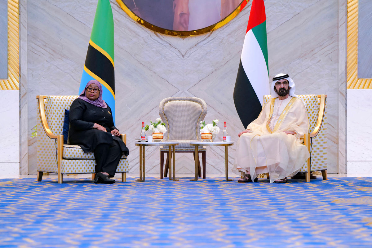 What the United Arab Emirates wants in Tanzania | The Citizen