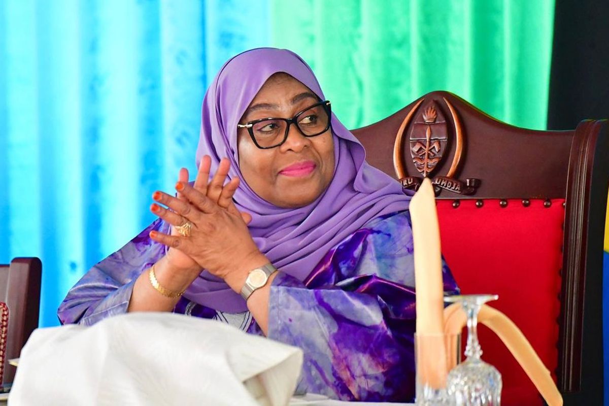 Tanzania makes great strides in fulfilling UN’s 2030 Agenda | The Citizen