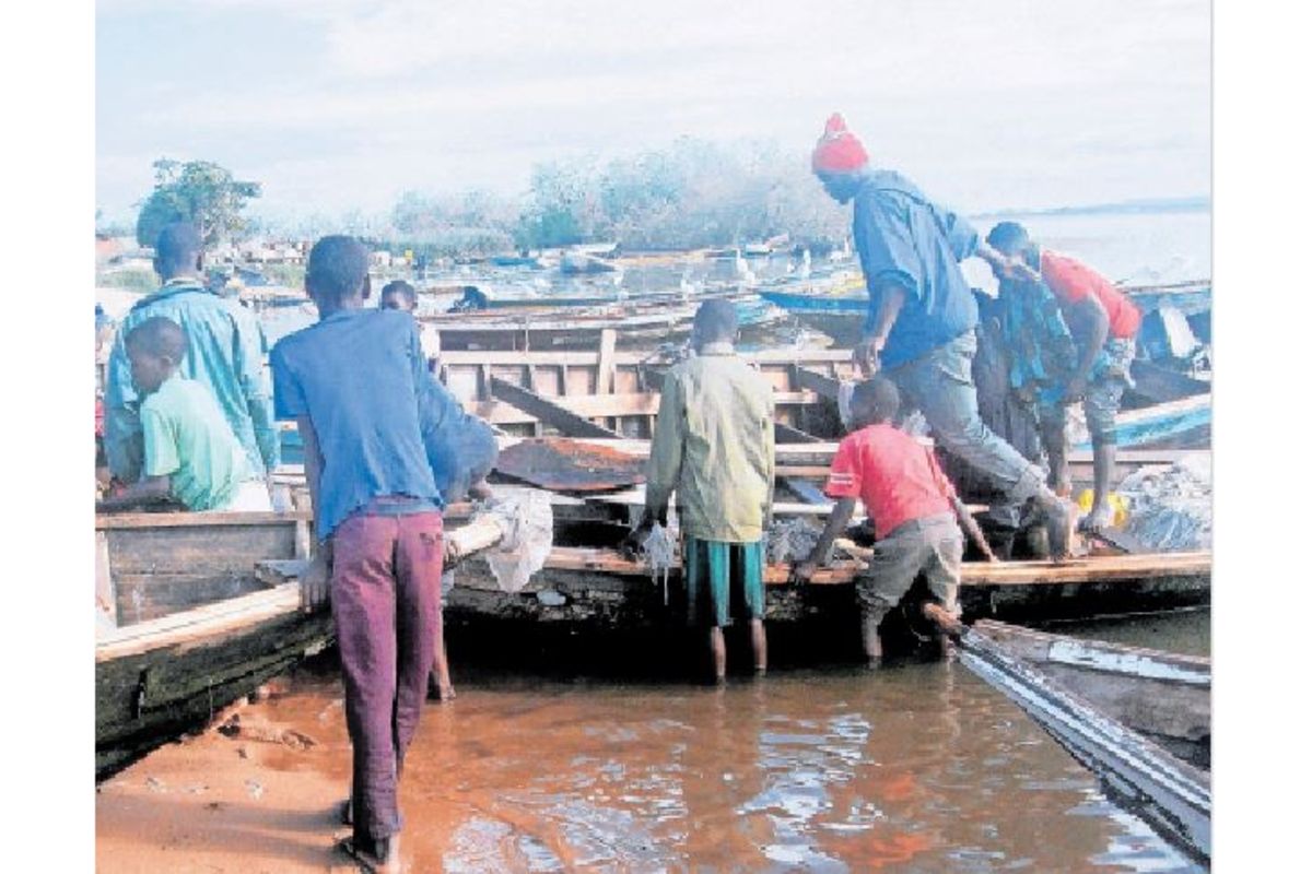 How climate change is breaking families in fishing communities | The ...