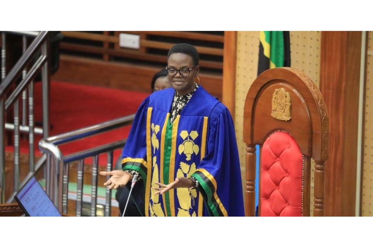 No further debate on Dar port investment, says Speaker | The Citizen