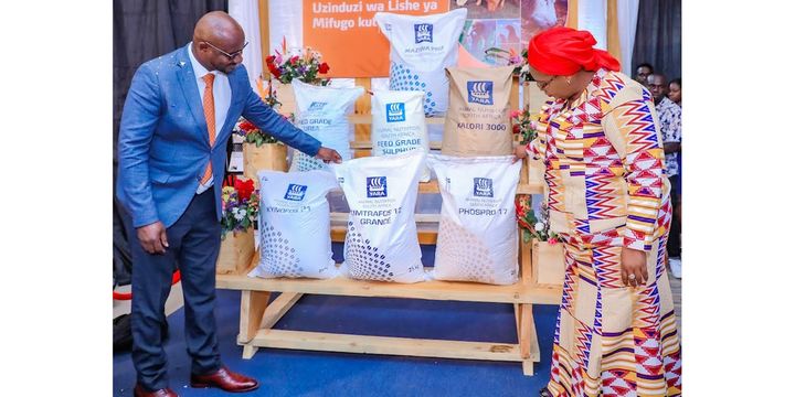 Why Yara Tanzania’s animal nutrition plan is a game changer | The Citizen