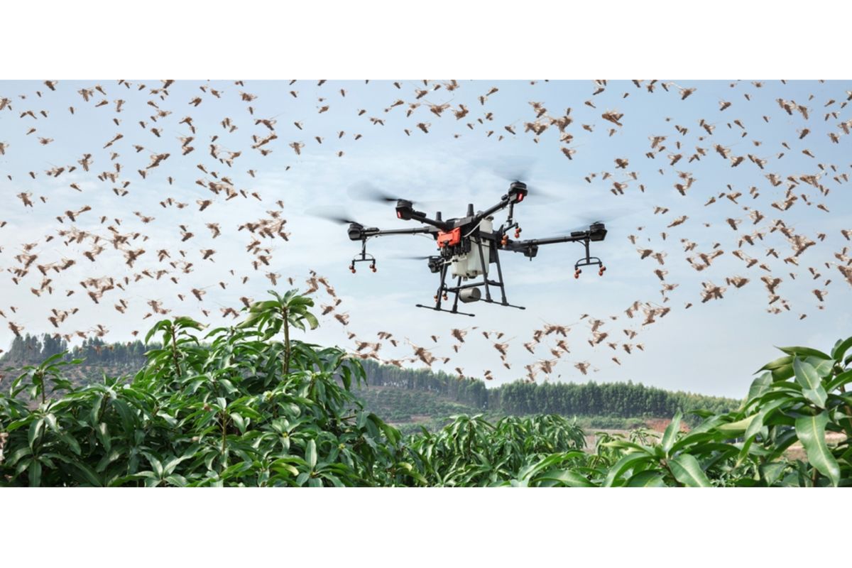 Why EA desert locust control body restructuring is crucial | The Citizen