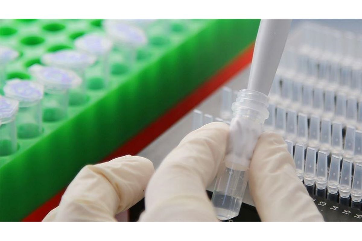 US Bio labs in Nigeria pose threat to continent, experts warn | The Citizen