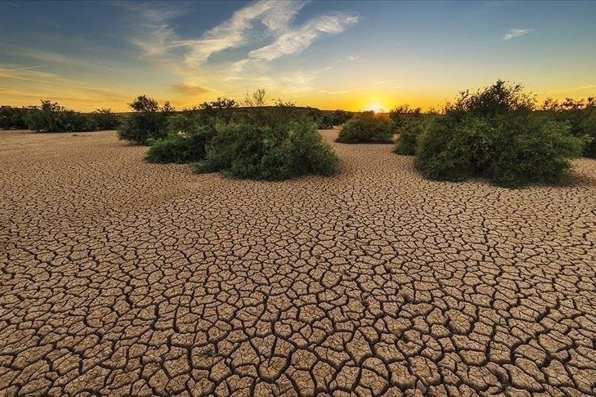 Experts: Local researches, reliable data crucial in fighting climate ...