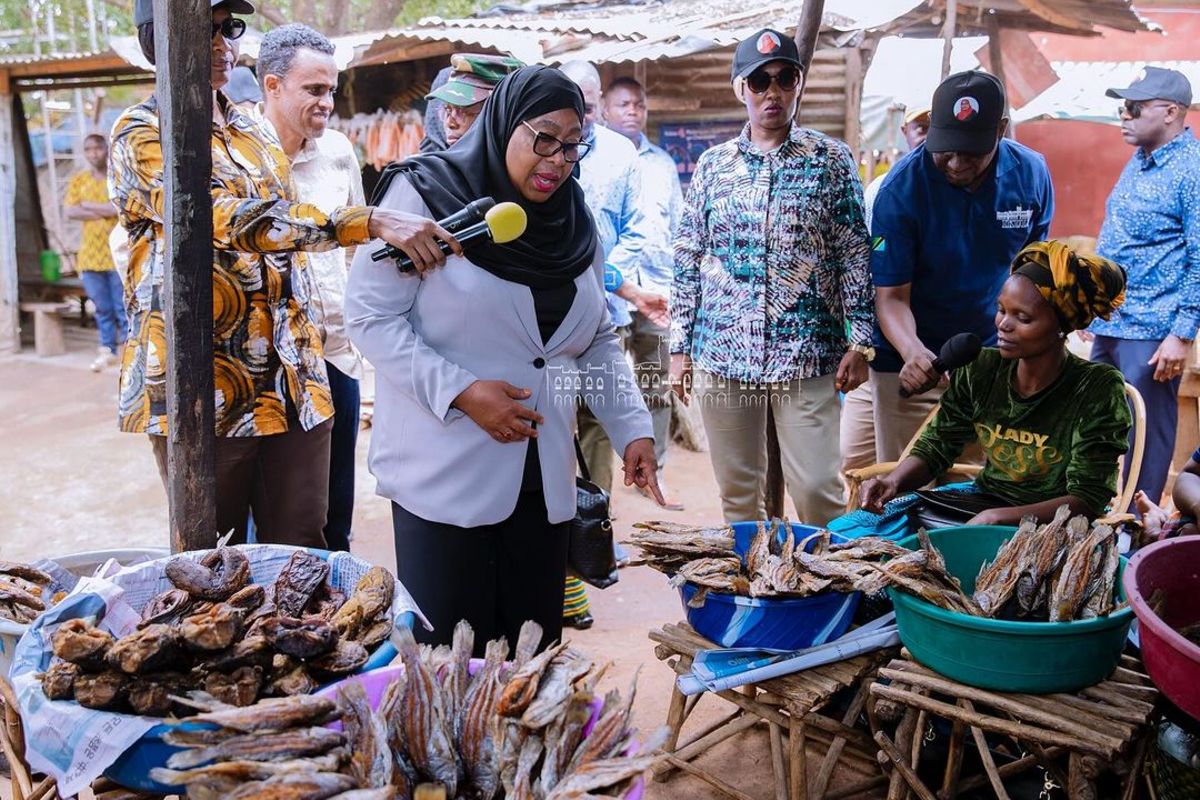 Samia reveals grand plan to boost export value of crops | The Citizen