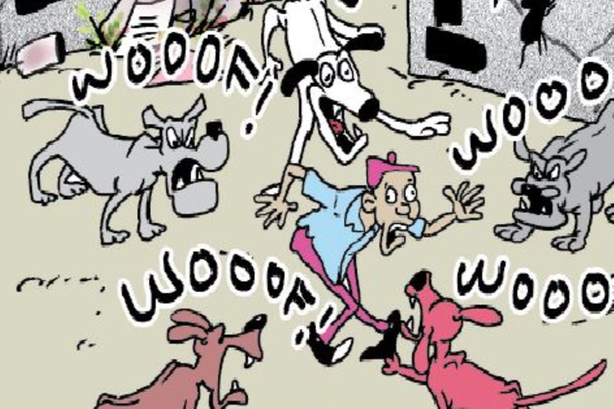 When Rombo man squatted whole night under ‘schooled’ dogs | The Citizen