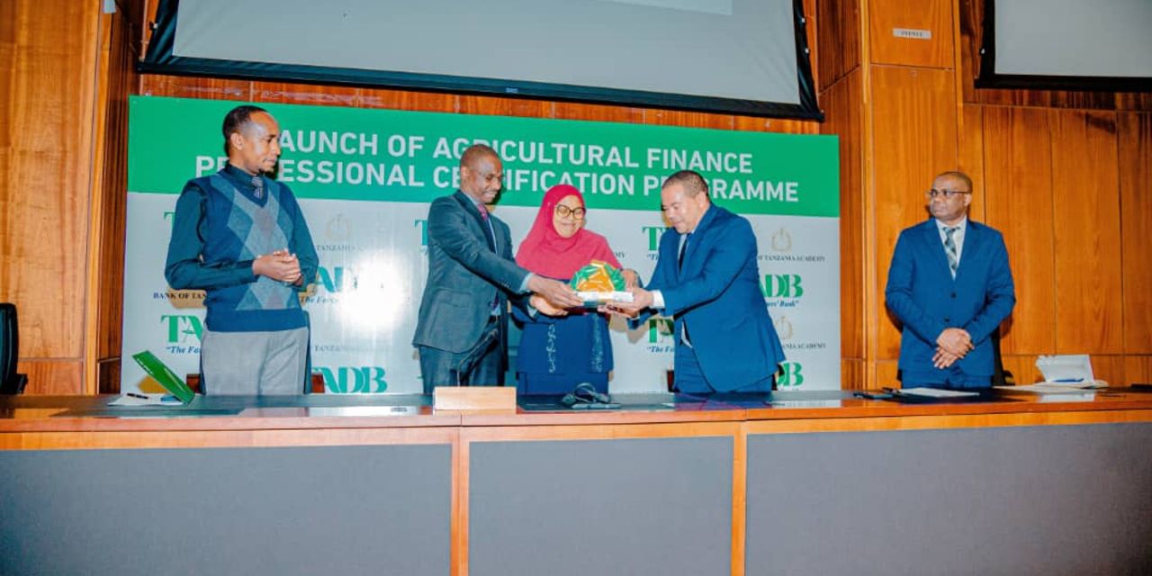 Govt launches new TADB strategy to improve access to finance | The Citizen