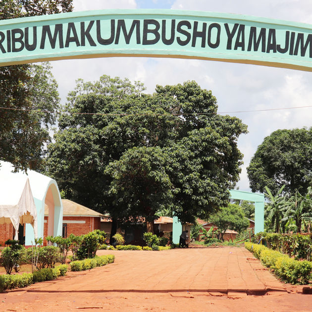 300,000 Tanzanians were killed by Germany during the Maji-Maji uprising ...