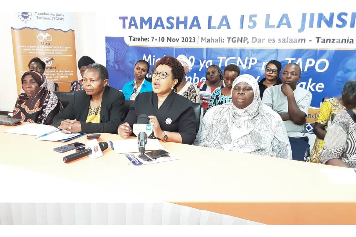 TGNP trains journalists on 30th anniversary of the Beijing Conference ...