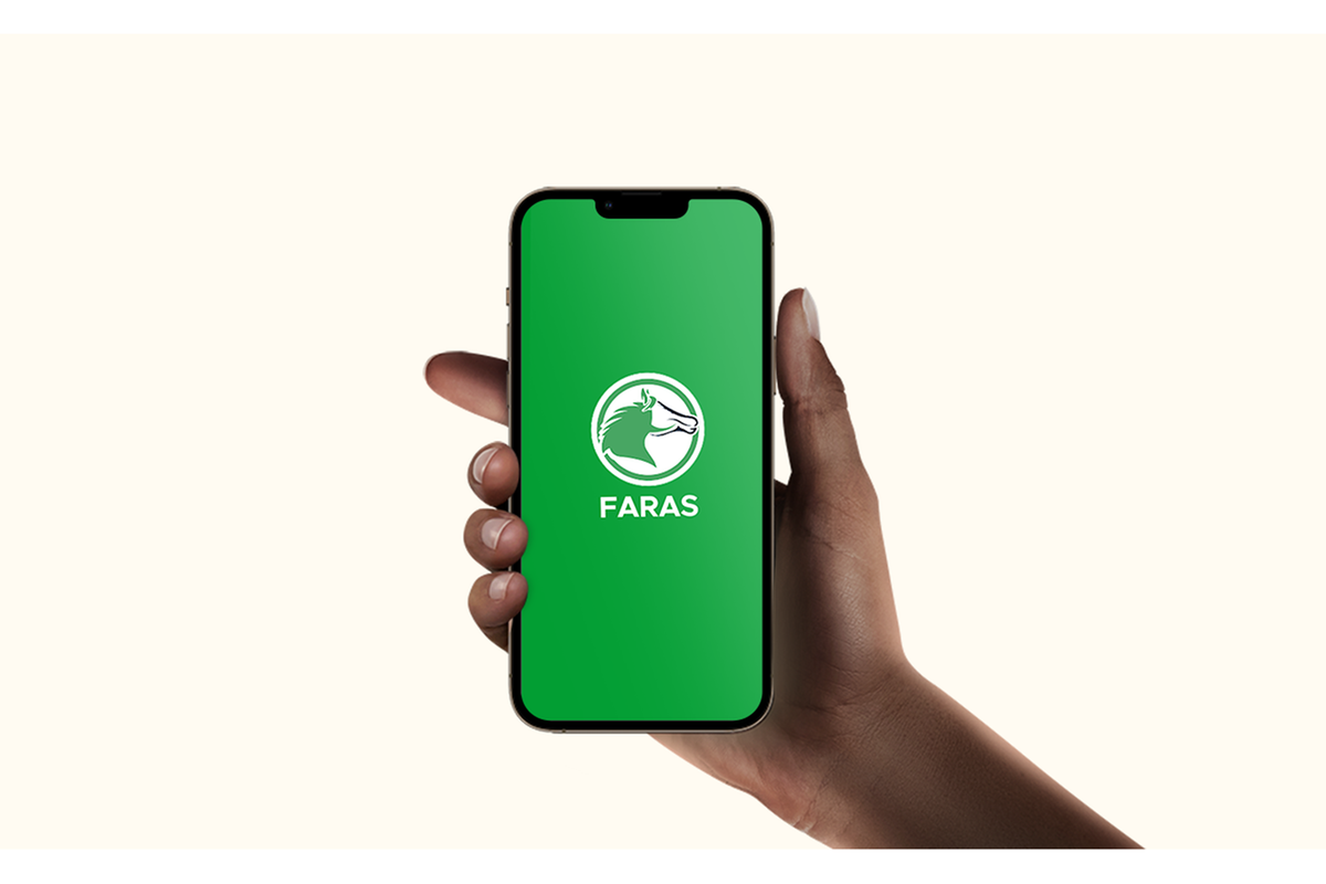 Tailored for Tanzania: How FARAS understands and meets local ...