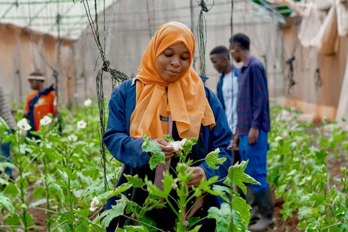 Youth agriculture scheme set for $100 million US support | The Citizen