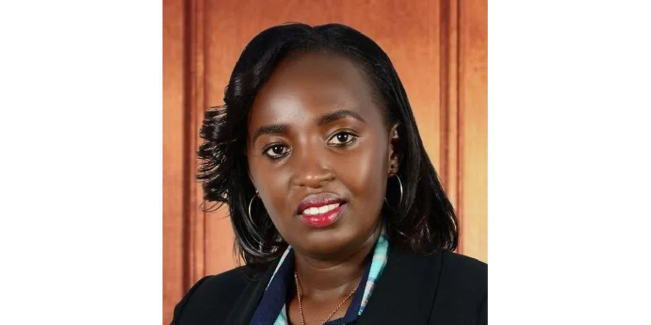 Puzzle of Kenyan state officer with eight jobs | The Citizen