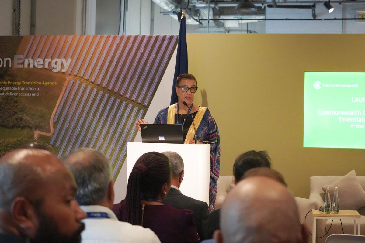 Commonwealth launches e-learning course on climate finance | The Citizen