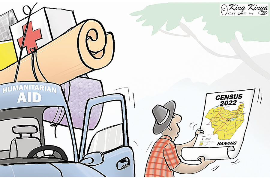 Cartoon | The Citizen