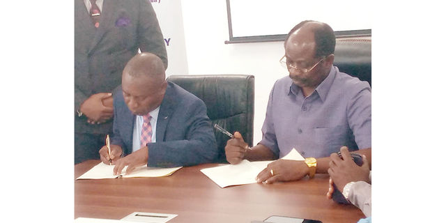 Zanzibar eyes 450MW wind electricity in $1.2 billion deal | The Citizen