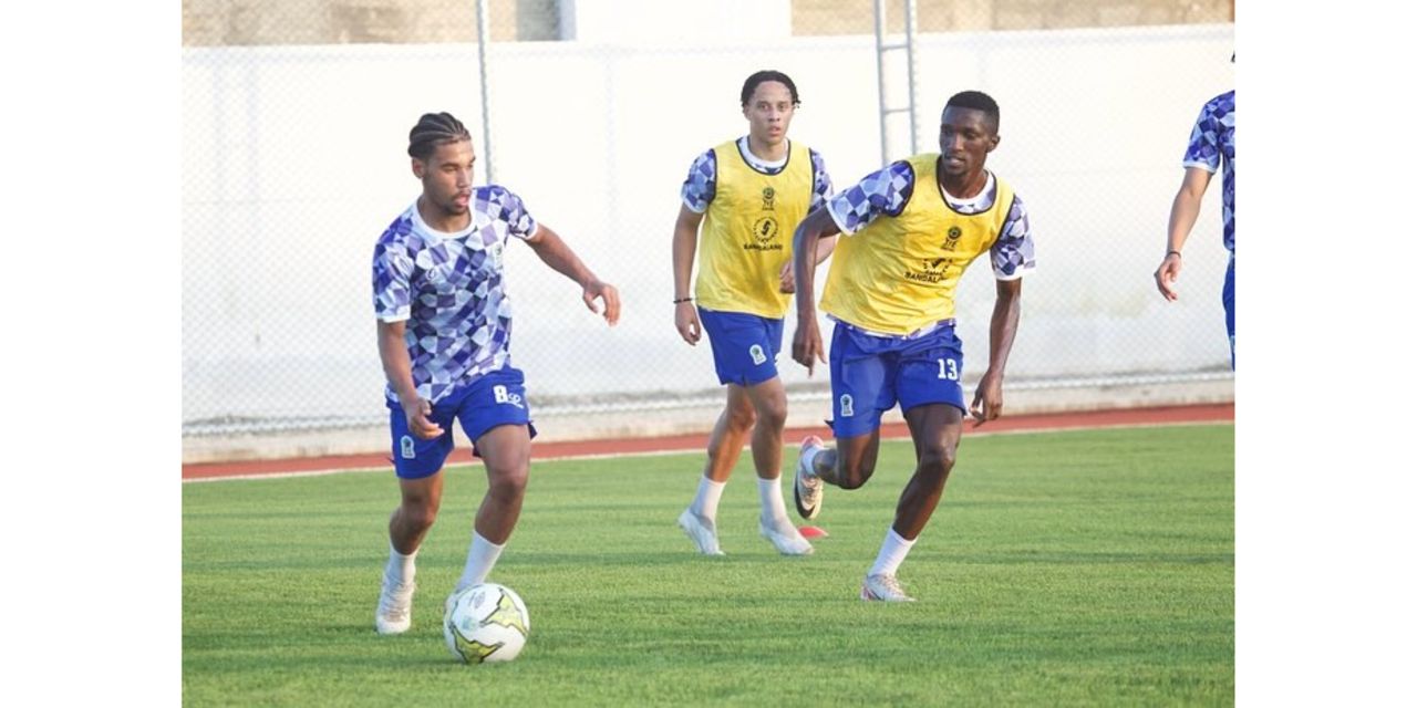 Taifa Stars to take on Egypt in Afcon build-up | The Citizen