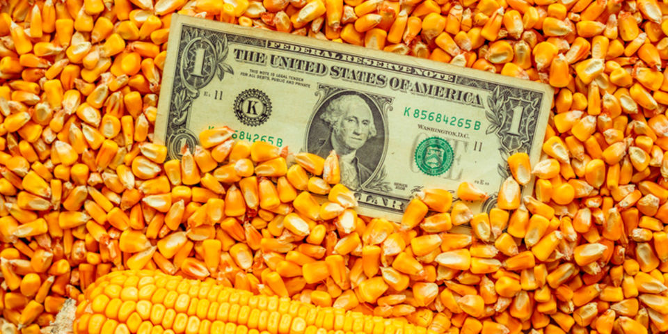 Why crop exports have risen 9.5 percent $2.3 billion in two years | The ...