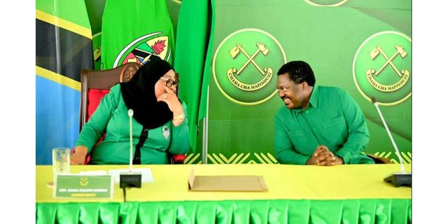 Emmanuel Nchimbi takes over as CCM Secretary General | The Citizen