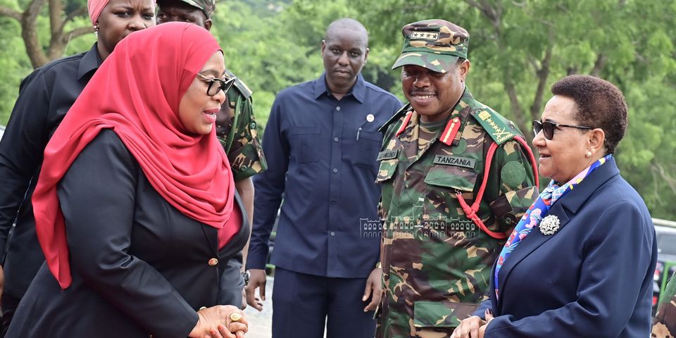 Samia directs military to prepare for election challenges | The Citizen