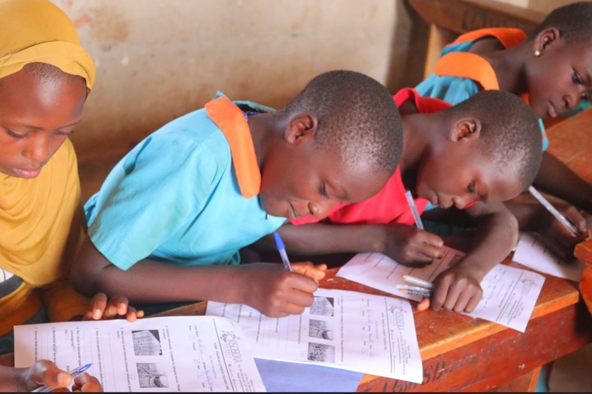 The power of school clubs: Building skills and friendships | The Citizen