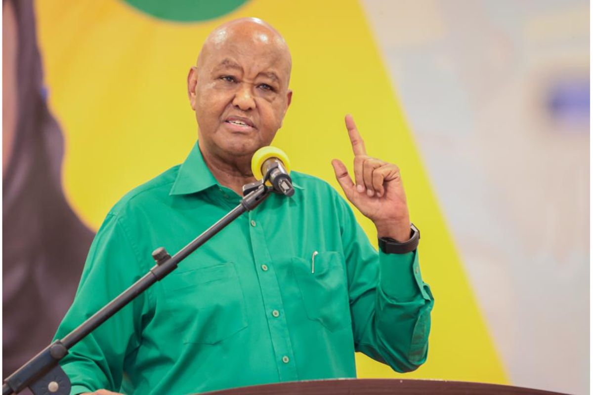 Kinana defends electoral bills despite Chadema criticism | The Citizen