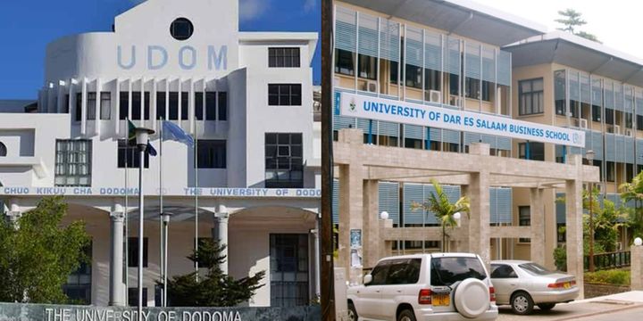 Tanzania's major universities UDOM and UDSM face staff shortage | The ...