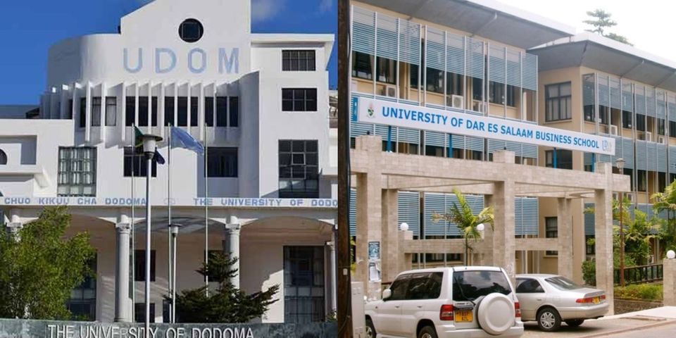 Tanzania's major universities UDOM and UDSM face staff shortage | The Citizen