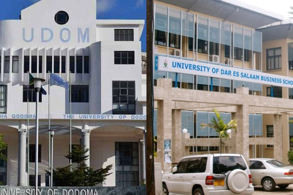 Tanzania's major universities UDOM and UDSM face staff shortage | The ...