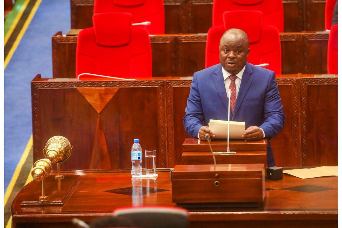 Parliament team raises red flag over public investment, return | The ...