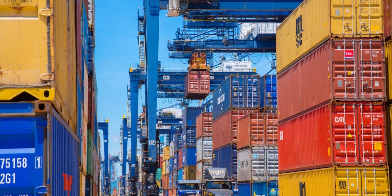 Importers face delays as system outage affects clearance at Dar es ...