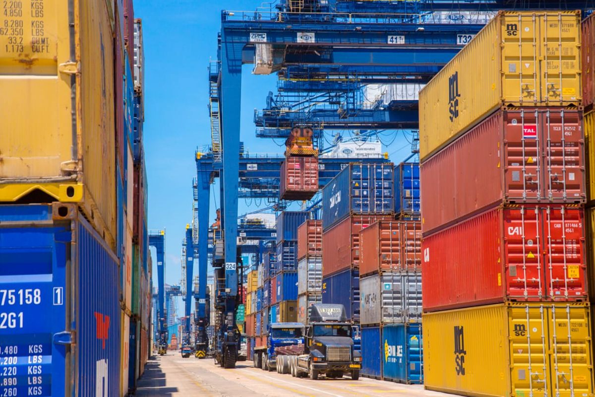 Importers face delays as system outage affects clearance at Dar es ...