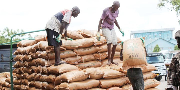 Why investors need to consider Tanzania’s fertiliser value chain | The ...