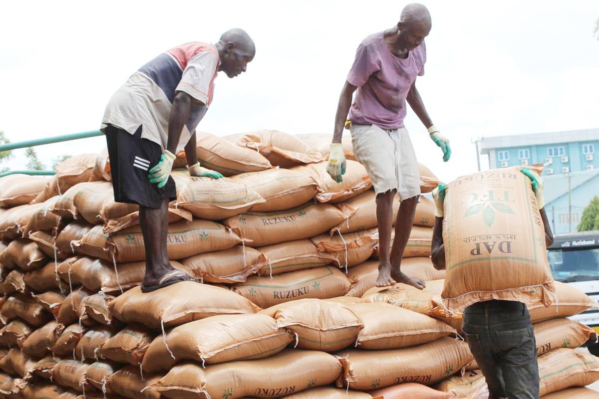 Why investors need to consider Tanzania’s fertiliser value chain | The ...