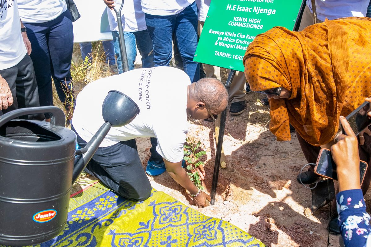 Kenyans in Tanzania honour Wangari Maathai with tree planting ceremony ...