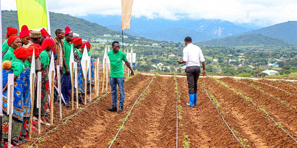 Yara Knowledge Centres adding momentum to sustainable farming | The Citizen