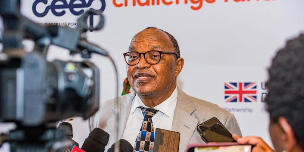 Granting a brighter future: UK initiative boosts Tanzania's fight ...