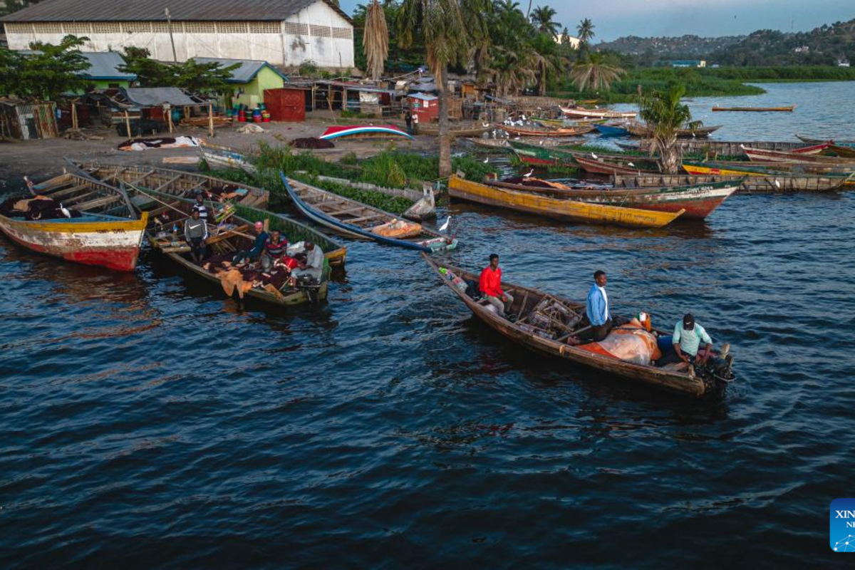 Alarm as Lake Victoria fish stocks declines by 35 percent | The Citizen