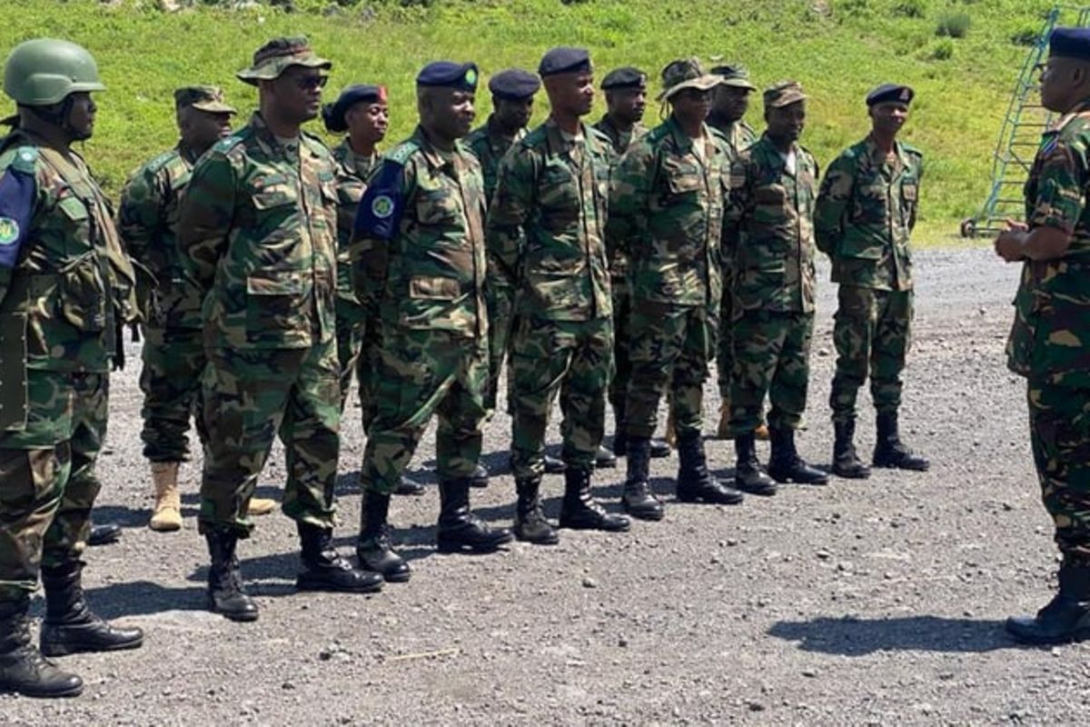 Mortar fire kills three Tanzanian soldiers in DR Congo | The Citizen
