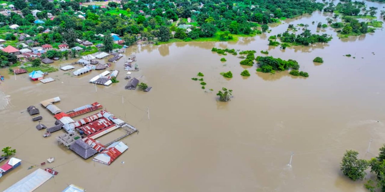 Beyond the megawatts: The murky waters of Nyerere Dam | The Citizen