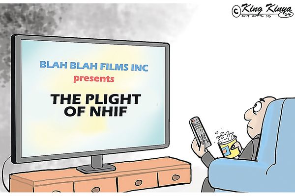 Cartoon | The Citizen