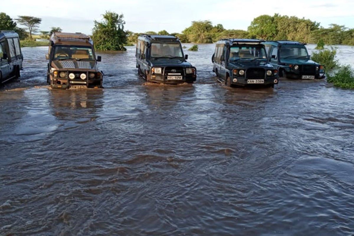 Floods strand dozens of tourists in Kenya's Maasai Mara | The Citizen